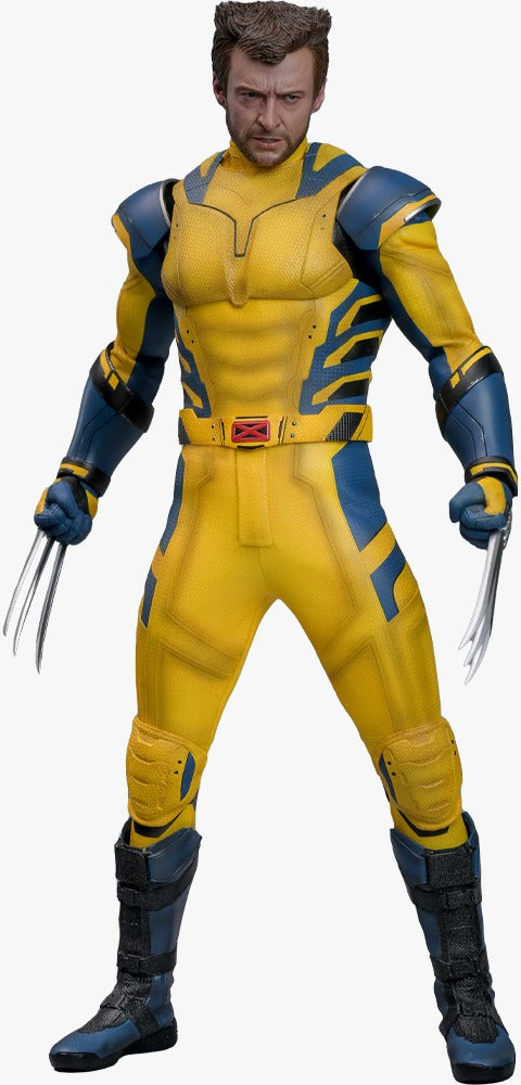 Hot Toys Movie Masterpiece Series: Marvel Deadpool y Wolverine - Wolve ...