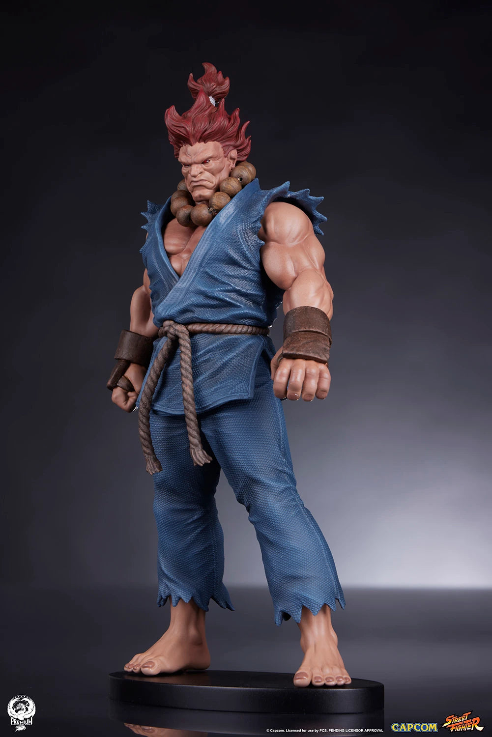 PCS Statue: Street Fighter - Set Akuma y Dhalsim Escala 1/10 — Distrito Max